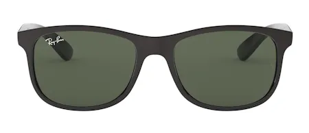 Ray-Ban Andy RB 4202 Black Sunglasses | Vision Express